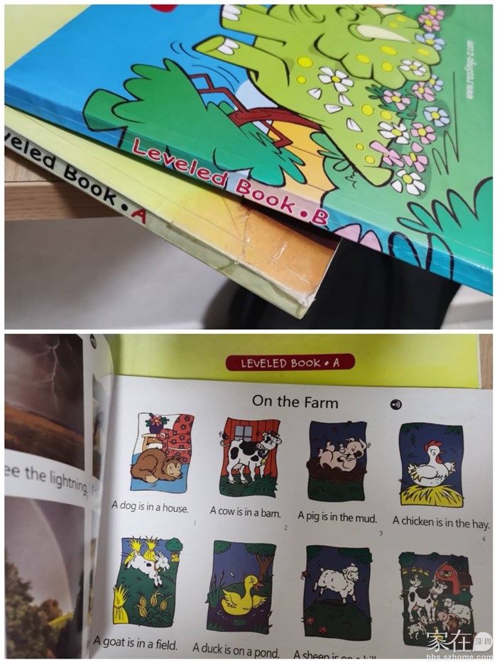 转Raz英文分级绘本A,B级别，2本合集 - 家在深圳